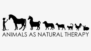 Animal-assisted Therapy: Types, History, Works And More