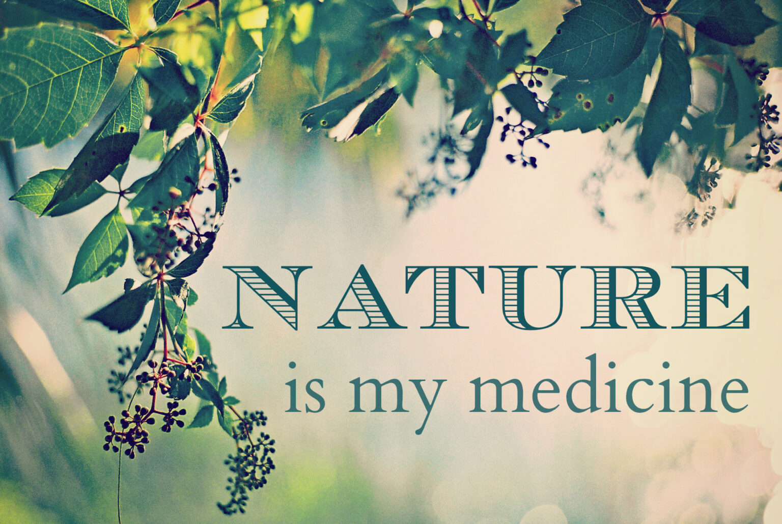 Nature Therapy: What It Is, How It Works, Why Consider It