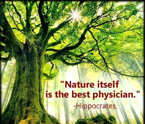 Nature Therapy: What It Is, How It Works, Why Consider It