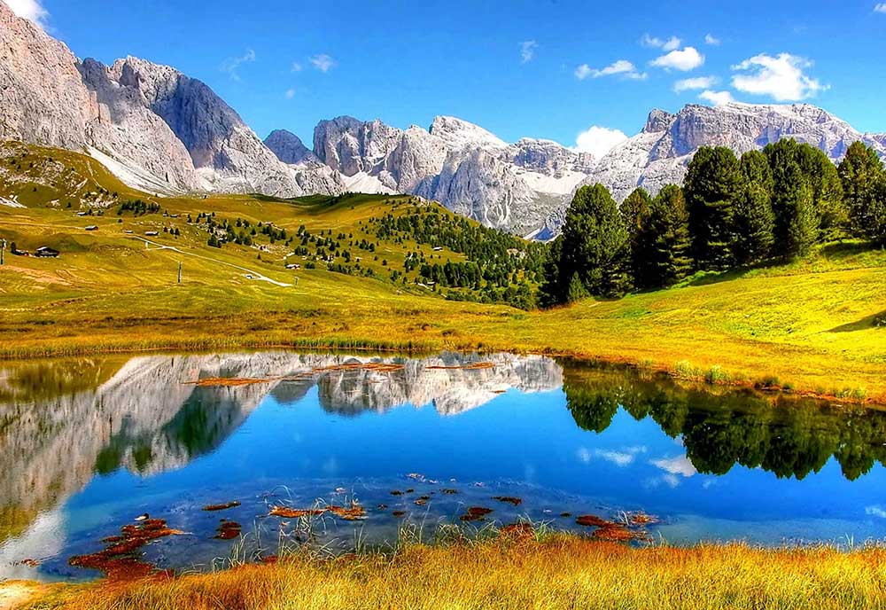 Nature Therapy: What It Is, How It Works, Why Consider It